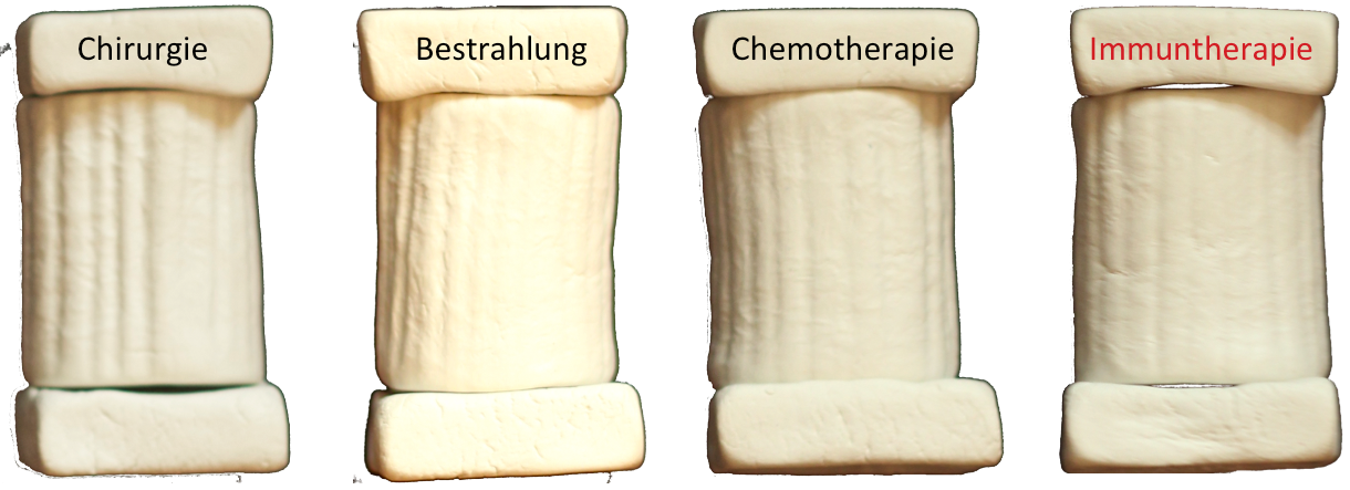 Immunsystem & Krebs